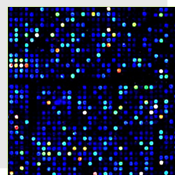 Research Groups – Cabimer