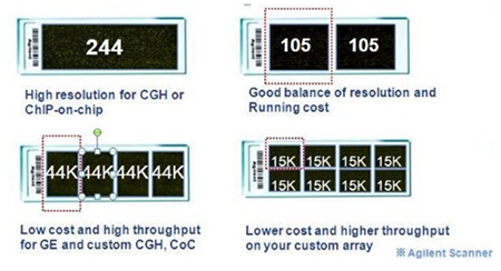 Microarrays de Agilent: Expresion y CGH – Cabimer